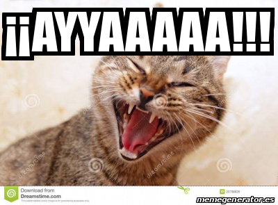 Meme Personalizado - ¡¡Ayyaaaaa!!! - 32170316