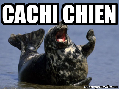 Meme Personalizado - Cachi chien - 32170606