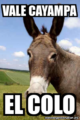 Meme Personalizado - Vale cayampa El Colo - 32171364