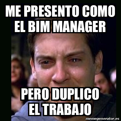 Meme crying peter parker - me presento como el bim manager pero duplico ...