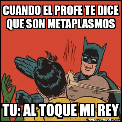 Meme Batman slaps Robin - Cuando el profe te dice que son metaplasmos ...