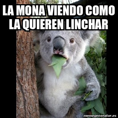 Meme Koala - La mona viendo como la quieren linchar - 32181742