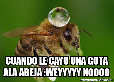 Meme Personalizado - Cuando le cayo una gota ala abeja :weyyyyy noooo ...