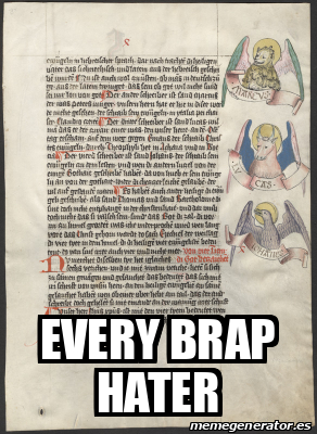 Meme Personalizado - every brap hater - 32183225