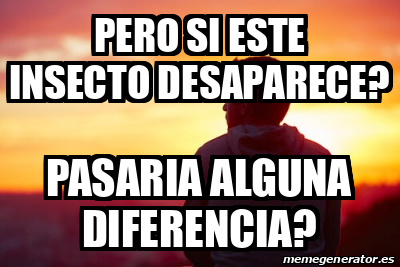 Meme Personalizado - PERO SI ESTE INSECTO DESAPARECE? Pasaria alguna ...