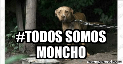 Meme Personalizado - #todos somos moncho - 32189853