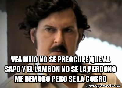 Meme Personalizado - Vea mijo no se preocupe que al sapo y el lambon no ...