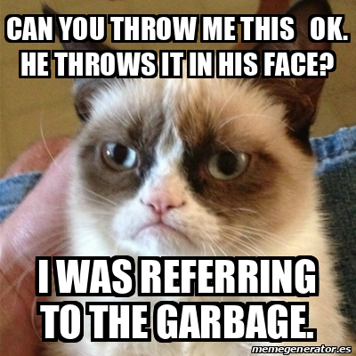 Meme Grumpy Cat - Can you throw me this Ok. he throws it in his face? I ...