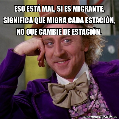 Meme Willy Wonka - Eso está mal, si es migrante, significa que migra ...