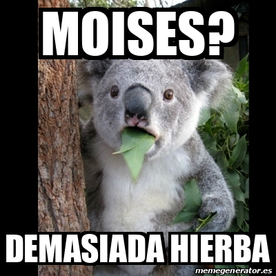 Meme Koala - Moises? Demasiada hierba - 32199458