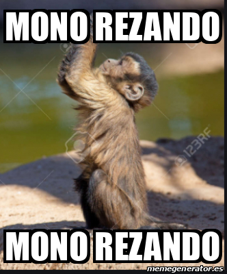 Meme Personalizado - Mono rezando Mono rezando - 32199508