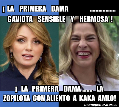 Meme Personalizado - ¡ la primera dama .................. gaviota ...