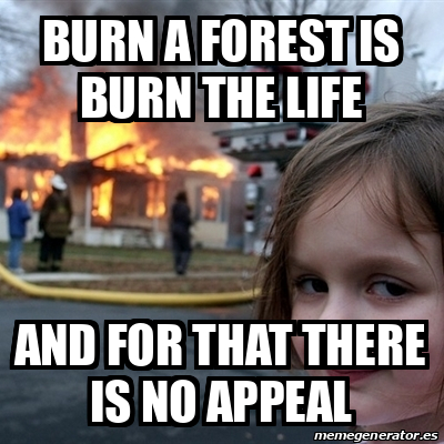 Meme Disaster Girl - Burn a forest is burn the life and for that there ...
