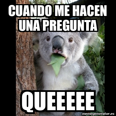 Meme Koala - cuando me hacen una pregunta queeeee - 32022582