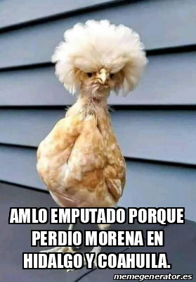 Meme Personalizado - amlo emputado porque perdio morena en hidalgo y ...