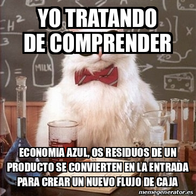 Meme Chemistry Cat - YO TRATANDO DE COMPRENDER ECONOMIA AZUL, os ...