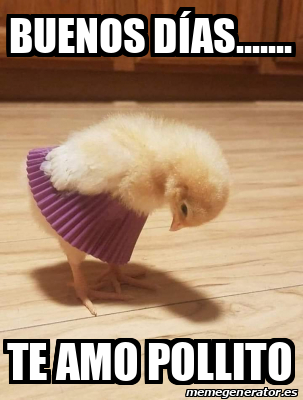 Meme Personalizado - Buenos días....... Te amo pollito - 32026148