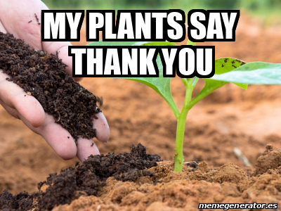 Meme Personalizado - My plants say thank you - 32200234
