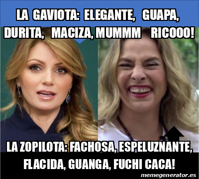 Meme Personalizado - la gaviota: elegante, guapa, durita, maciza, mummm ...