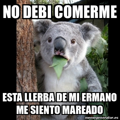 Meme Koala - no debi comerme esta llerba de mi ermano me siento mareado ...