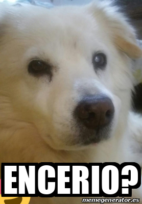 Meme Personalizado - Encerio? - 32204582