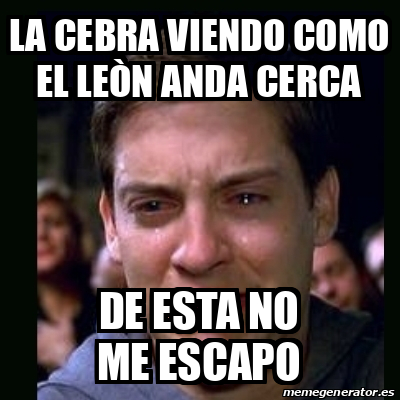 Meme crying peter parker - la cebra viendo como el leòn anda cerca de ...