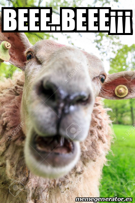 Meme Personalizado - Beee..Beee¡¡¡ - 32210970