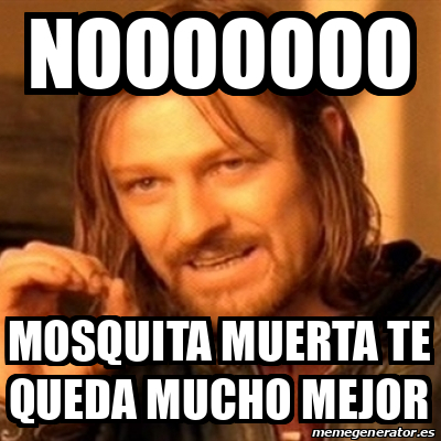 Meme Boromir - nooooooo mosquita muerta te queda mucho mejor - 32211120