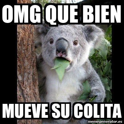 Meme Koala - Omg que bien Mueve su colita - 32211767