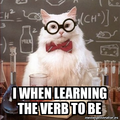 Meme Chemistry Cat - I when learning the verb to be - 32211936