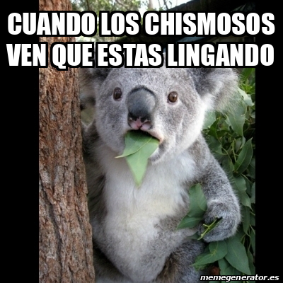Meme Koala - cuando los chismosos ven que estas lingando - 32212234