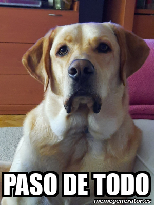 Meme Personalizado - Paso de todo - 32215576