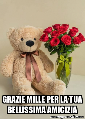 Meme Personalizado - grazie mille per la tua bellissima amicizia - 32216293