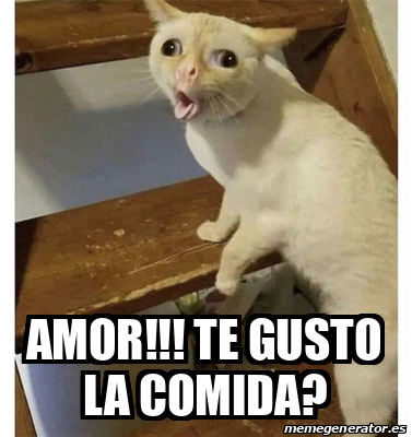 Meme Personalizado - amor!!! te gusto la comida? - 32218225