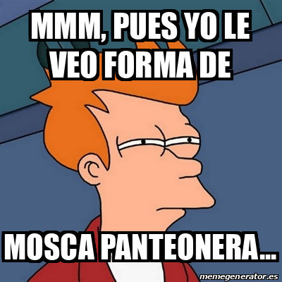 Meme Futurama Fry - mmm, pues yo le veo forma de mosca panteonera ...