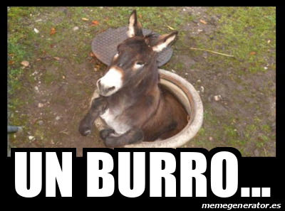 Meme Personalizado - Un burro... - 32228332