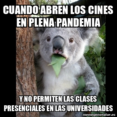 Meme Koala - cuando abren los cines en plena pandemia y no permiten las clases presenciales en ...