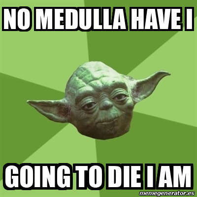 Meme Yoda - no medulla have i going to die i am - 32231094