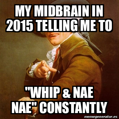 Meme Joseph Ducreux - my midbrain in 2015 telling me to "Whip & nae nae ...
