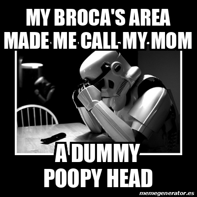 Meme Sad Trooper - my broca's area made me call my mom a dummy poopy ...