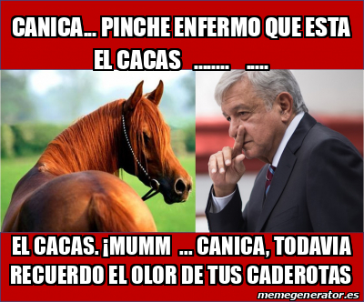 Meme Personalizado - CANICA... PINCHE ENFERMO QUE ESTA EL CACAS ...