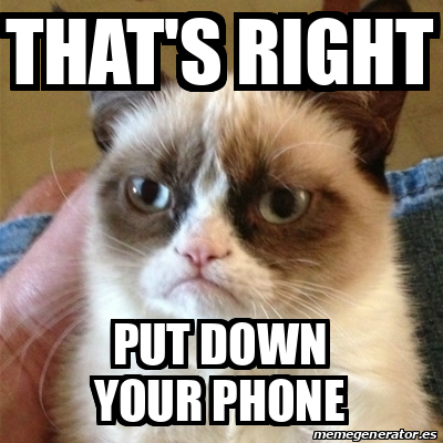 Meme Grumpy Cat - That's right put down your phone - 32233153
