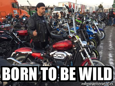 Meme Personalizado - BORN TO BE WILD - 32240939