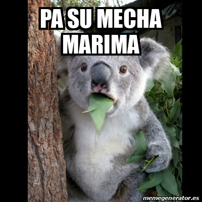 Meme Koala - PA SU MECHA MARIMA - 32248503