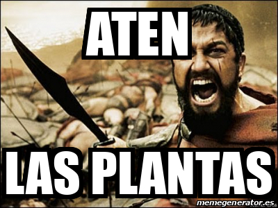 Meme Personalizado - ATEN LAS PLANTAS - 32248757