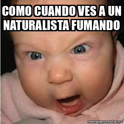 Meme Bebe furioso - Como cuando ves a un naturalista fumando - 32248921