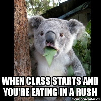 Meme Koala - when class starts and you're eating in a rush - 32249234