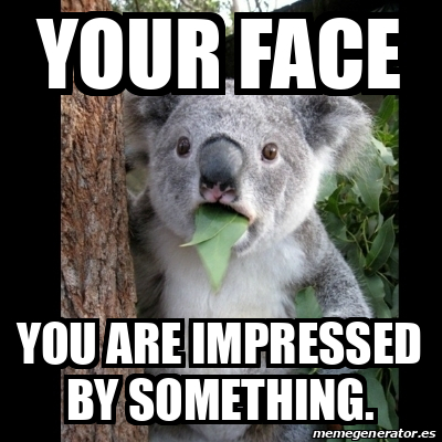 Meme Koala - YOUR FACE you are impressed by something. - 32249591