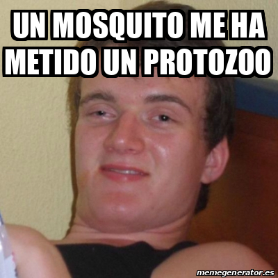 Meme Stoner Stanley - Un mosquito me ha metido un protozoo - 32255273