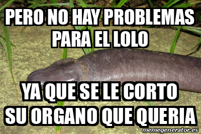 Meme Personalizado - Pero no hay problemas para el Lolo Ya que se le ...